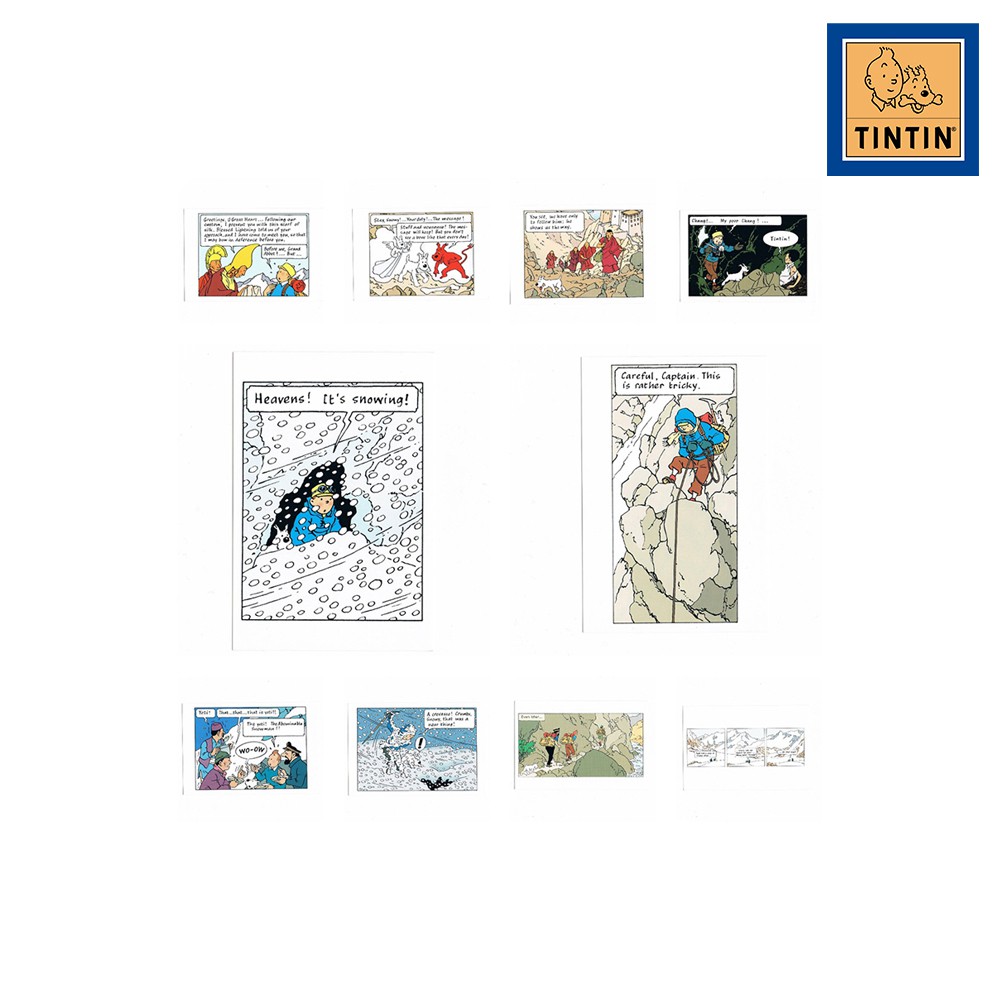 Tintin Book Cover Postcards: Tintin in Tibet Pack (Great for birthday ...