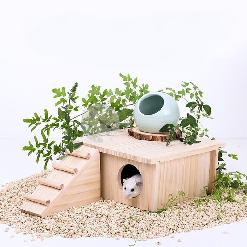 Brand New Solid Wood House Hideout + Stairway for Small animals Hamster ...