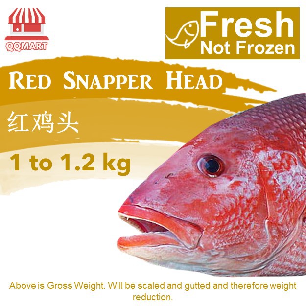 QQMart Fresh Seafood - Fresh Red Snapper Head - - Direct from Fishery ...