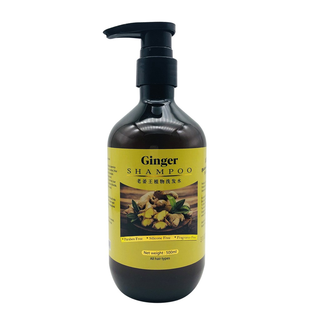 [SG Ready Stock] Ginger Shampoo /Anti- Hair Loss/Oil-control shampoo ...