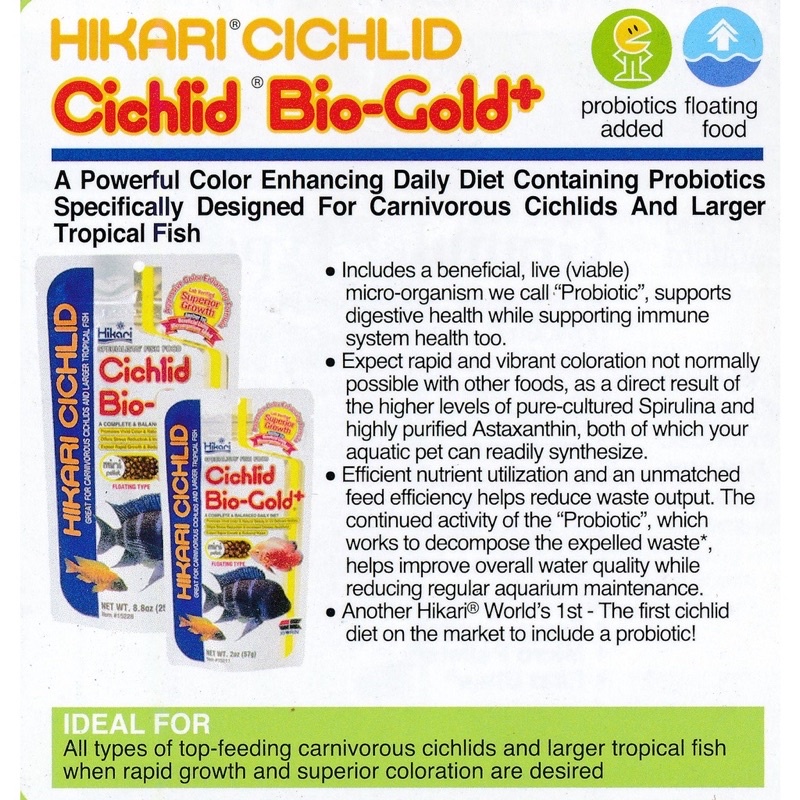 Hikari Cichlid Bio Gold 250g floating A Daily Diet For Carnivorous ...