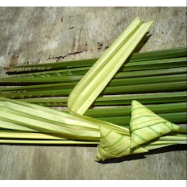 Palas leaves | Ketupat pulut | Shopee Singapore