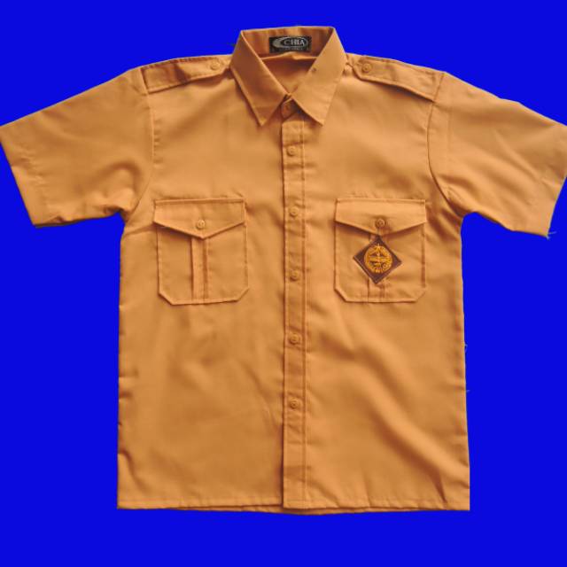 Junior & High School Scout Uniforms Short Sleeve Ordinary Brown & Milk ...
