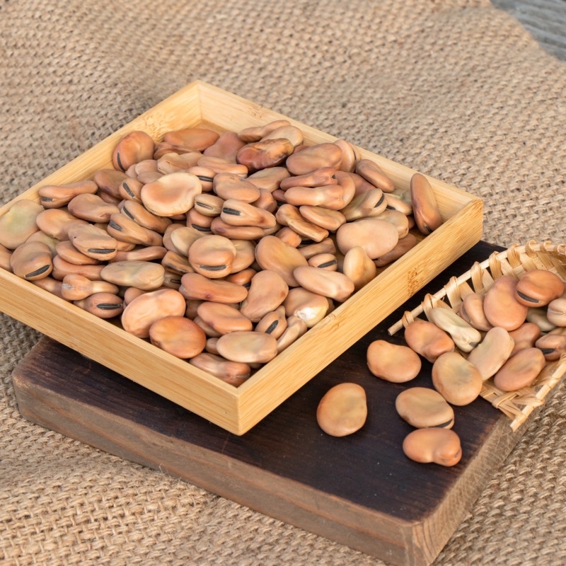 [Chunxin] Dried Raw Broad Beans 600g/3kg Beans/Horse Sproutable Bean ...