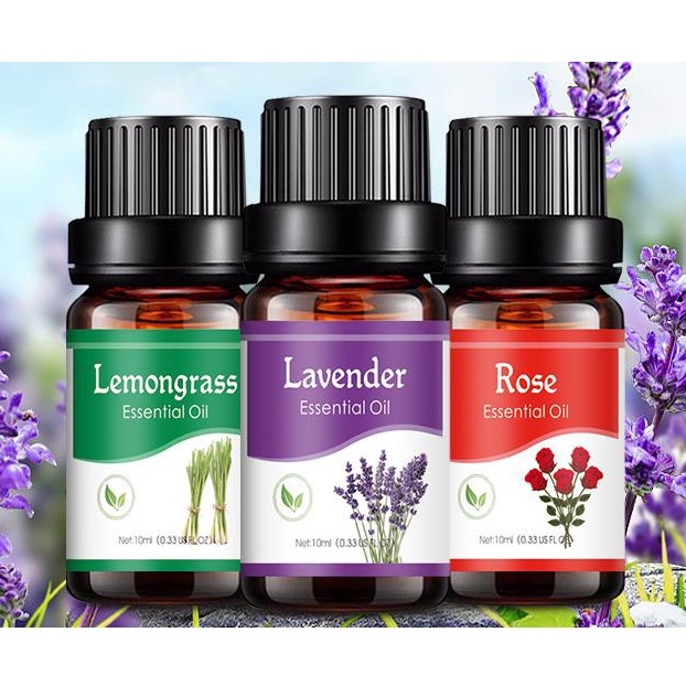 【LOCAL SELLER】10ml Aroma Essential Oils // Water-soluble Plant ...