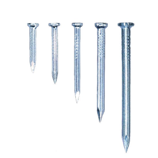 Galvanised GI Nail For Wood Different Sizes ( Paku Kayu ) | Shopee ...