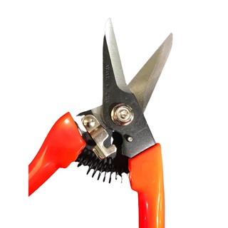Tiger 7" 702 Pruning Gardening Shears / Cutter (Made in Taiwan ...