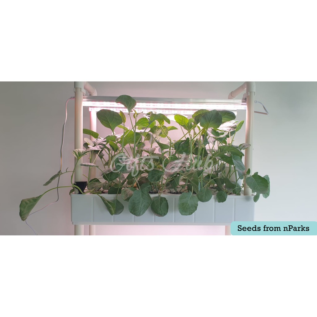 Hydroponics 4 Tier System Starter Set Soiless Nutrient film technique ...