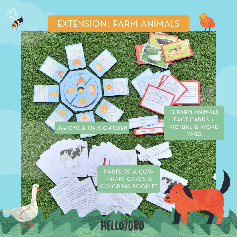 Zoology At Home Tool Kit (+Online Class) | Shopee Singapore