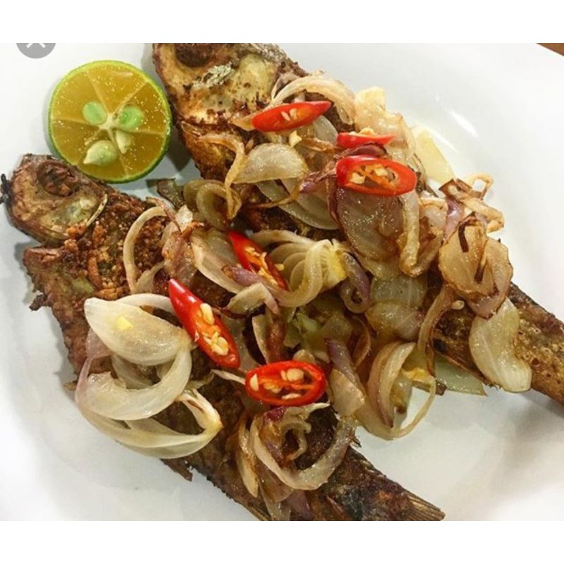 River pekasam Fish/pekasam Fish | Shopee Singapore