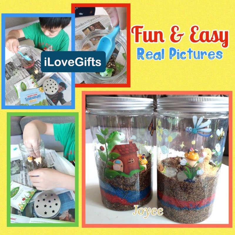 【SG Ready to Ship】Terrarium Kit Magic Luminous Grass Early Educational ...