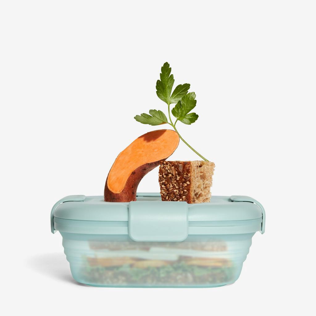 Stojo Translucent Sandwich Box, 24oz / 700ml | Shopee Singapore