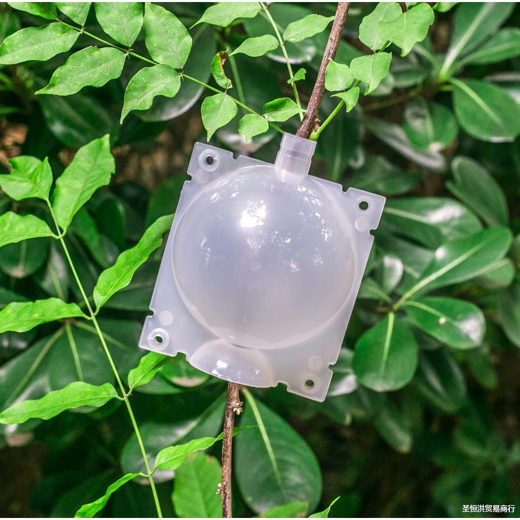 1 set （2 semicircles）8cm plastic plant rooting box reusable plant ...