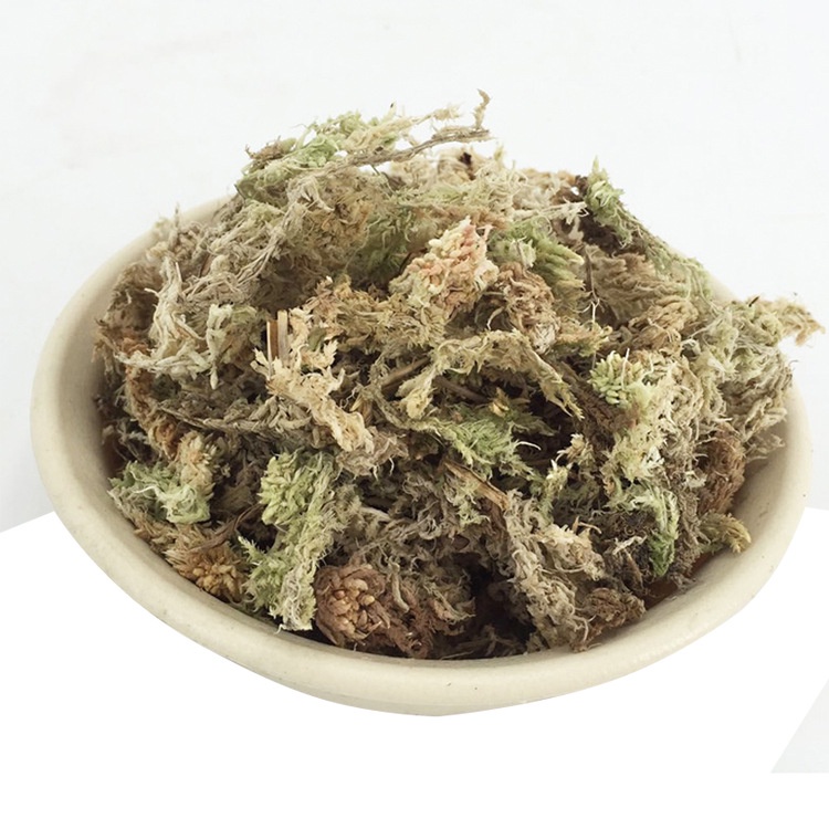 Chilean Sphagnum Moss / Peat Moss for Succulent / Rooting Moss / Garden ...