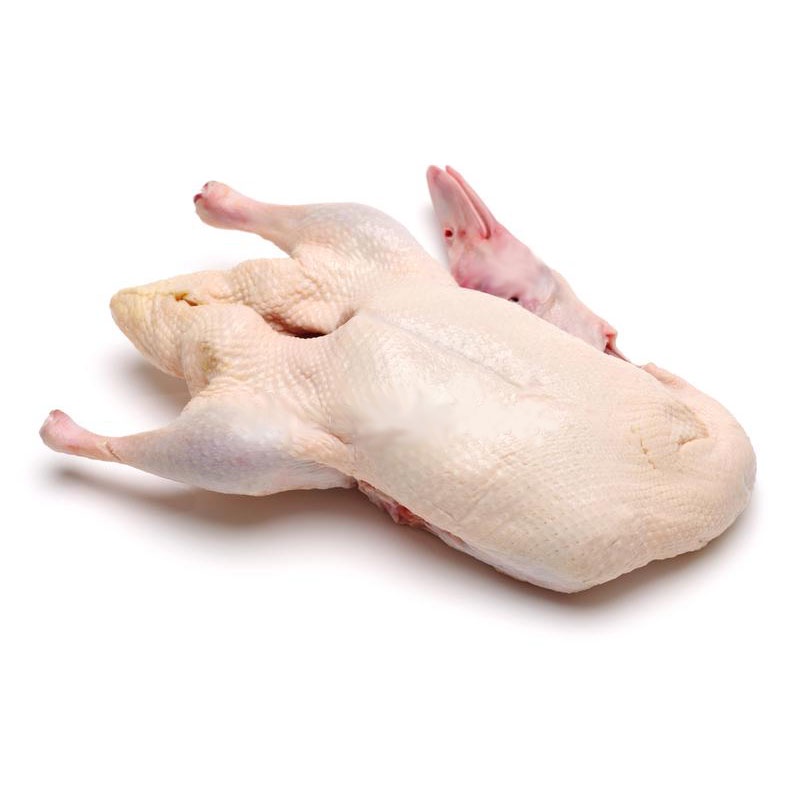 Fresh Duck (Half) | Shopee Singapore