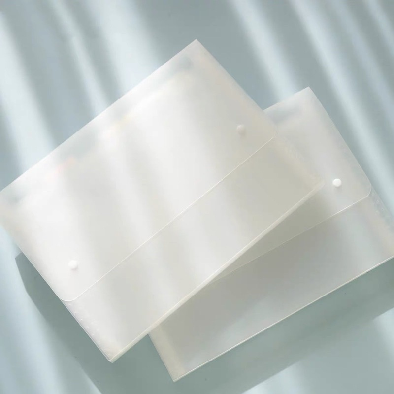 Jane White Korean Stationery Transparent Matte Folder A4 Organ Style ...