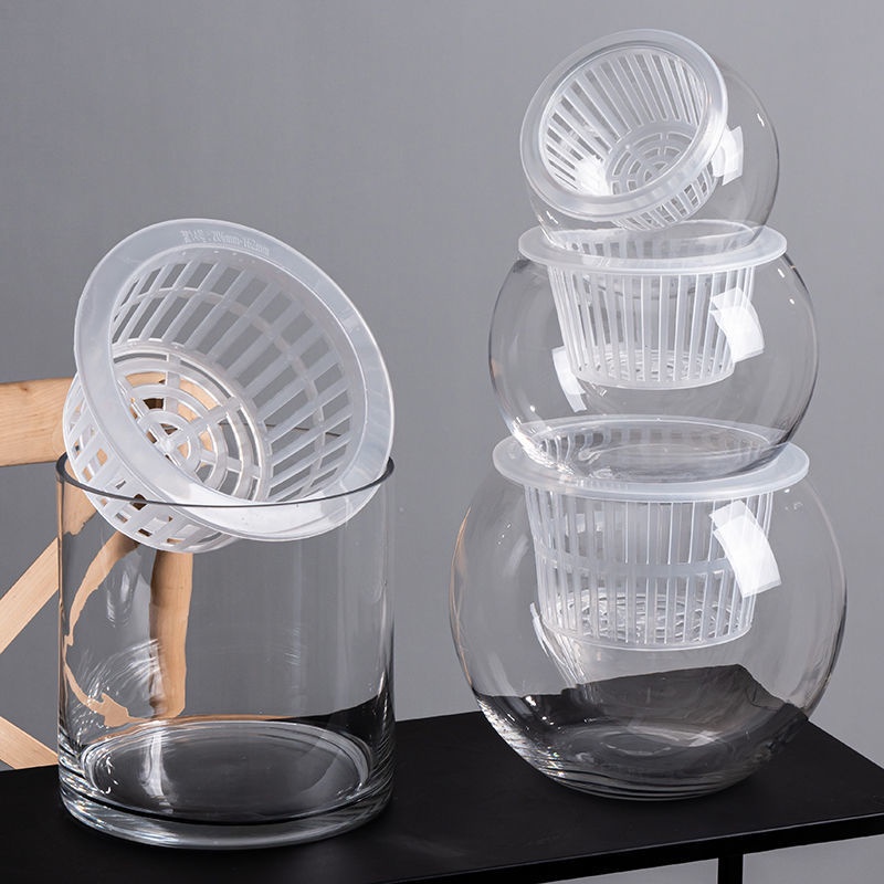 Hydroponic Plant Glass Bottle Transparent Glass Vase Container Green ...