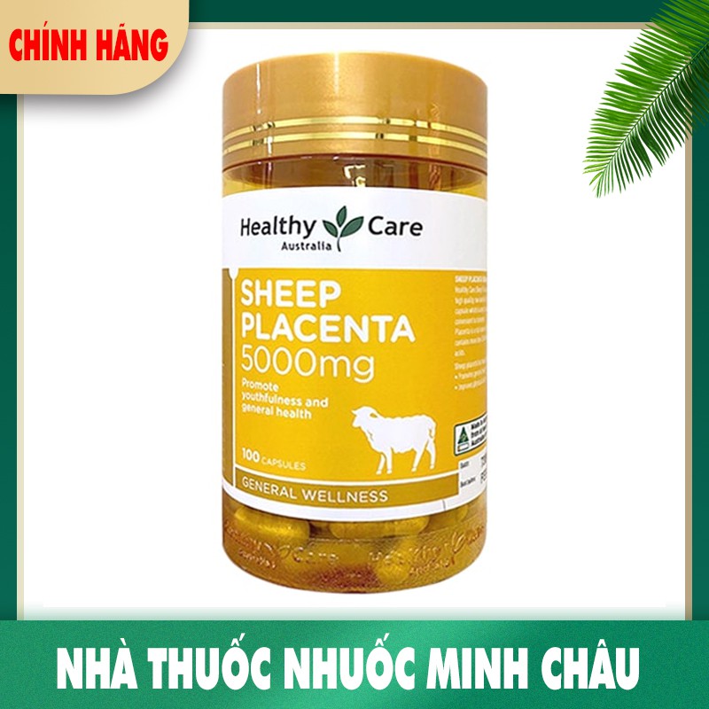 Sheep Placenta Sheep Placenta Sheep Placenta - New Model As Photo ...