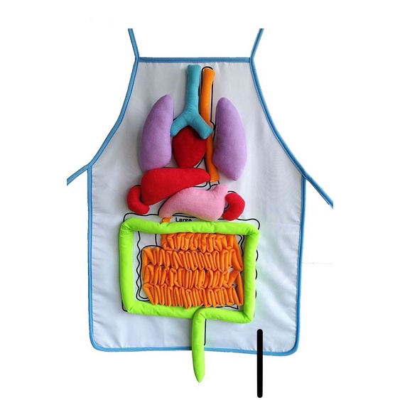 Right To Learn -Human Anatomy Organs Apron - What's Inside Me Anatomy ...