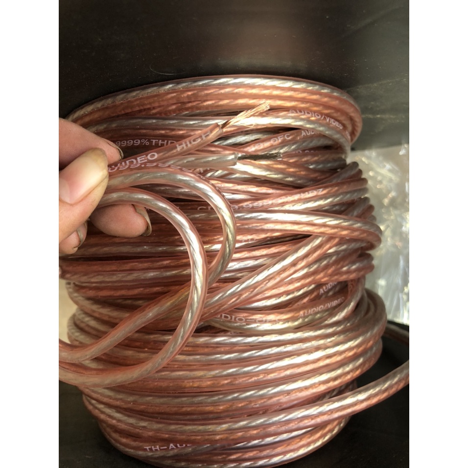 10 meters - Speaker wire connecting speaker to amplifier (T-200 ...