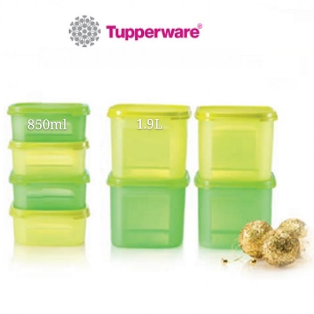Tupperware mini rectangular ( random colour) | Shopee Singapore