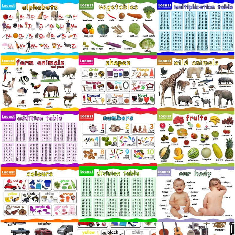 LOCUST Educational A3 poster ⭐Any 2 For $5 ⭐ | Shopee Singapore