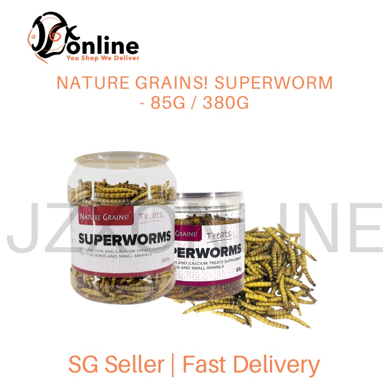 NATURE GRAINS Freezed-Dried Superworms - 85g(550ml) / 380g(2600ml ...