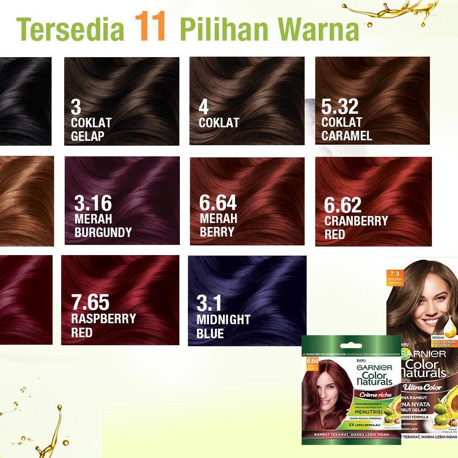 Garnier Color Naturals Hair Color - 7.3 Golden Brown x 3 pcs (Cat ...