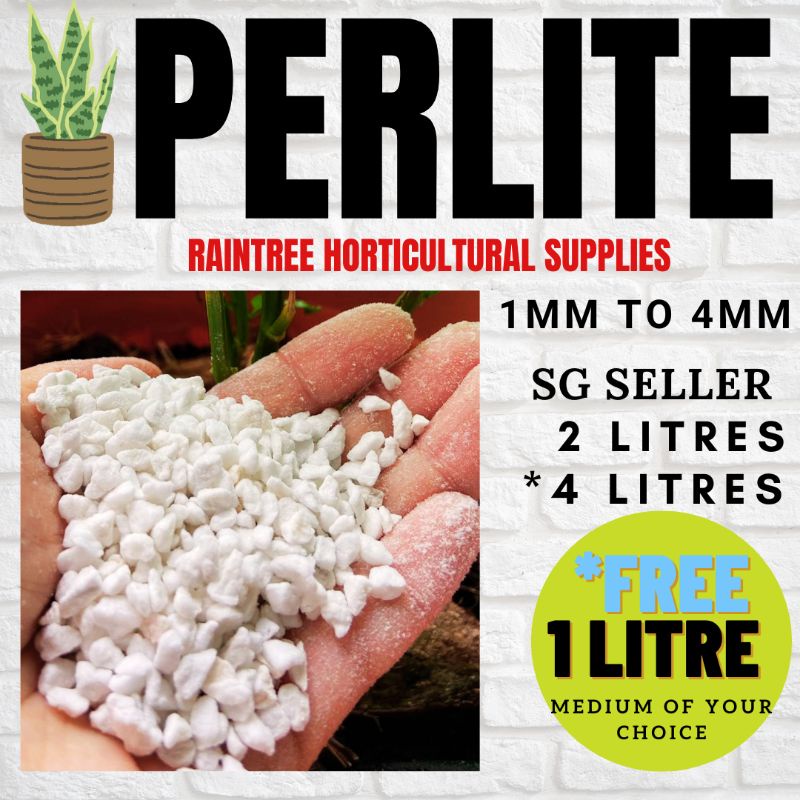 Perlite 2 litres and 4 litres(2L+2L) (SG SELLER) for gardening ...