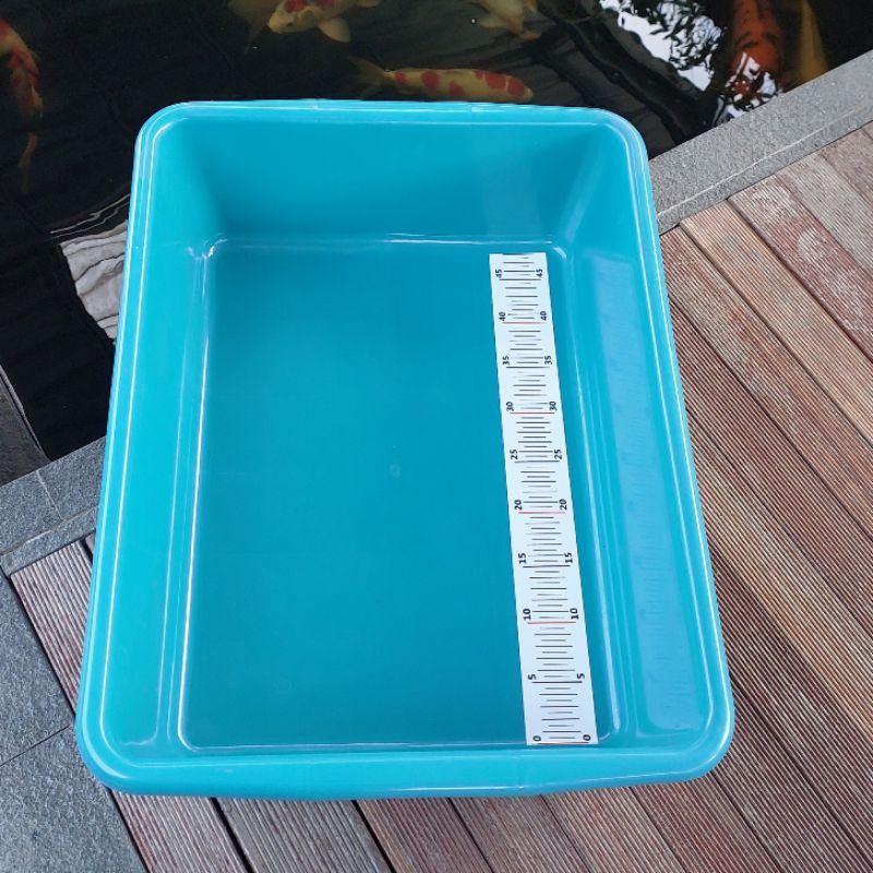 Koi fish measuring tank 50 cm | Shopee Singapore