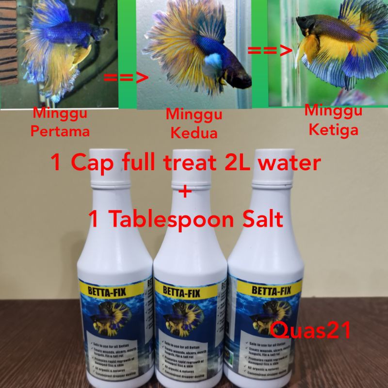 Bettas Fix 100ml- Brand Aqua 23 Hours | Shopee Singapore