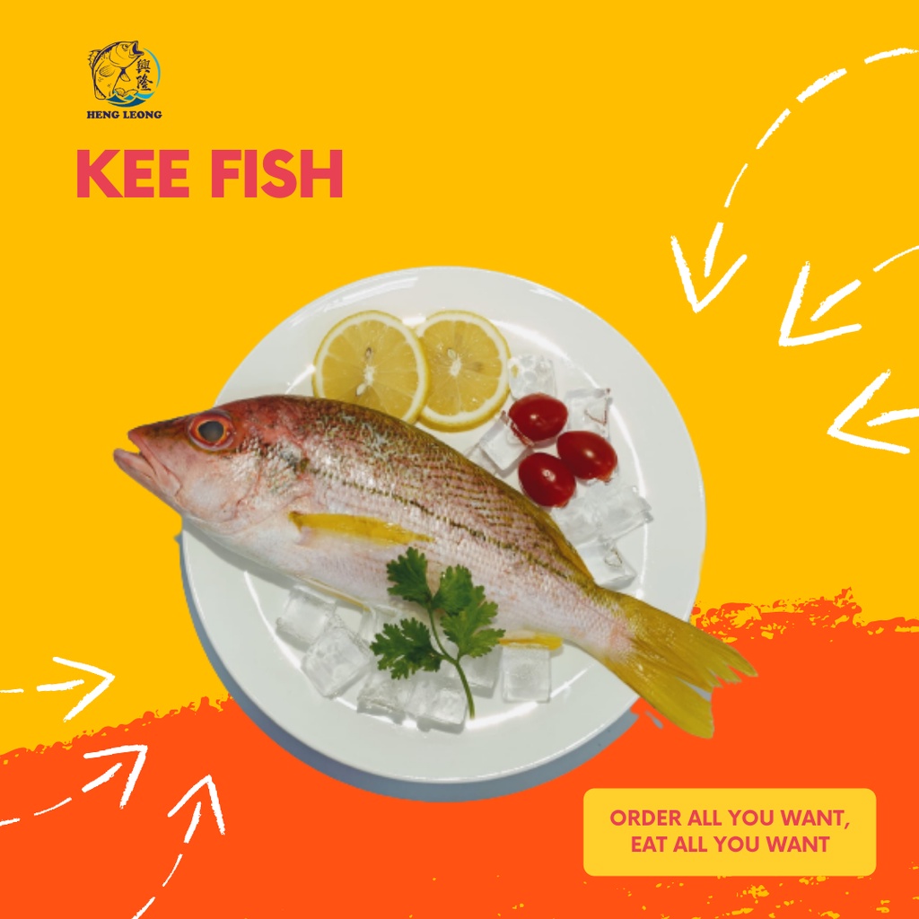 Heng Leong-Fresh Kee Fish/记鱼 | Shopee Singapore