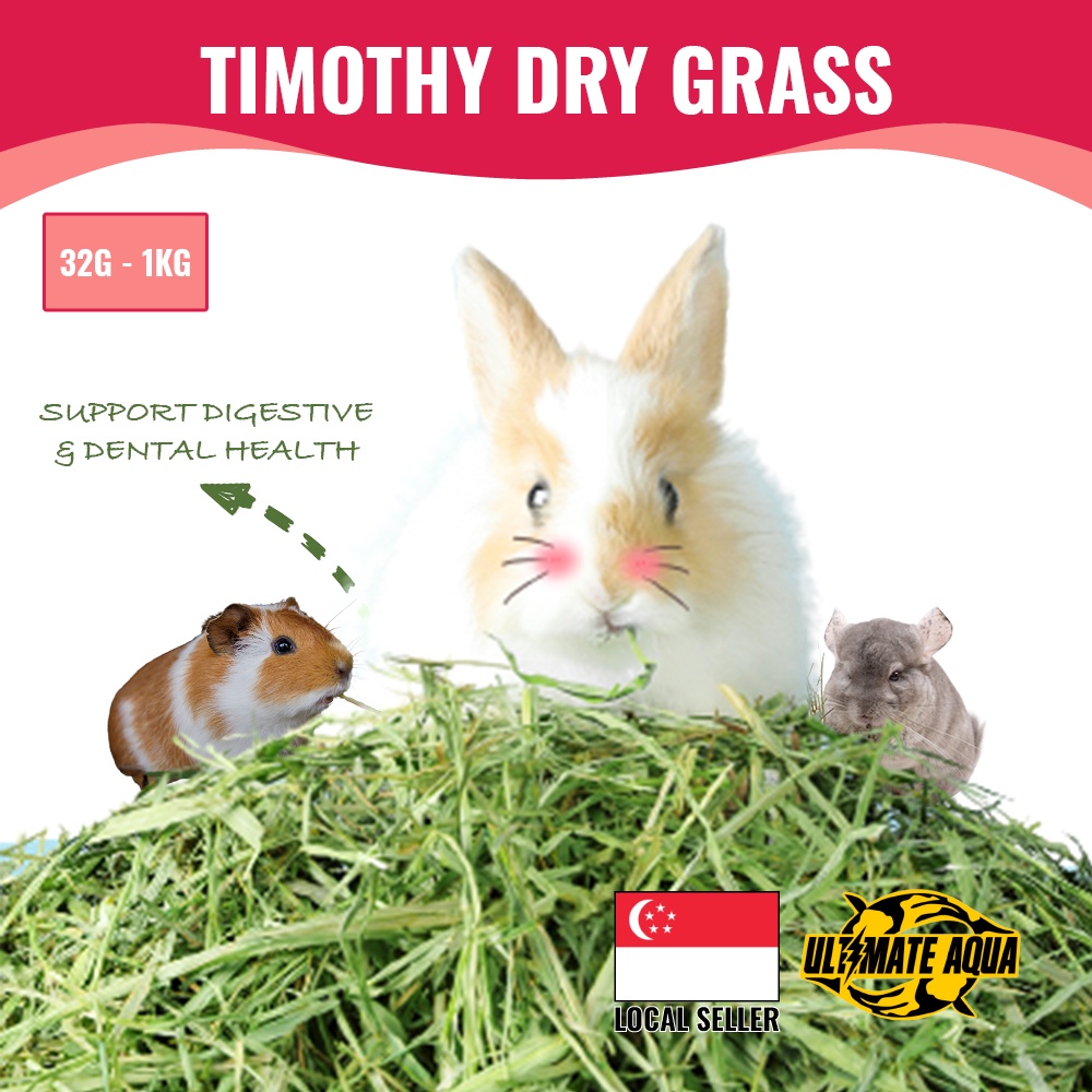 YEE Timothy Hay, Dry Grass For Bunny, Chinchilla, Guinea Pig, Rabbit ...