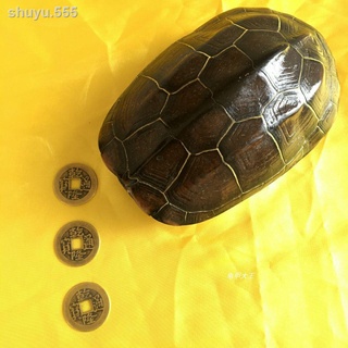 Really Turtle Shell Divination Hexagram Shaking Hexagram Six-Line Tool ...