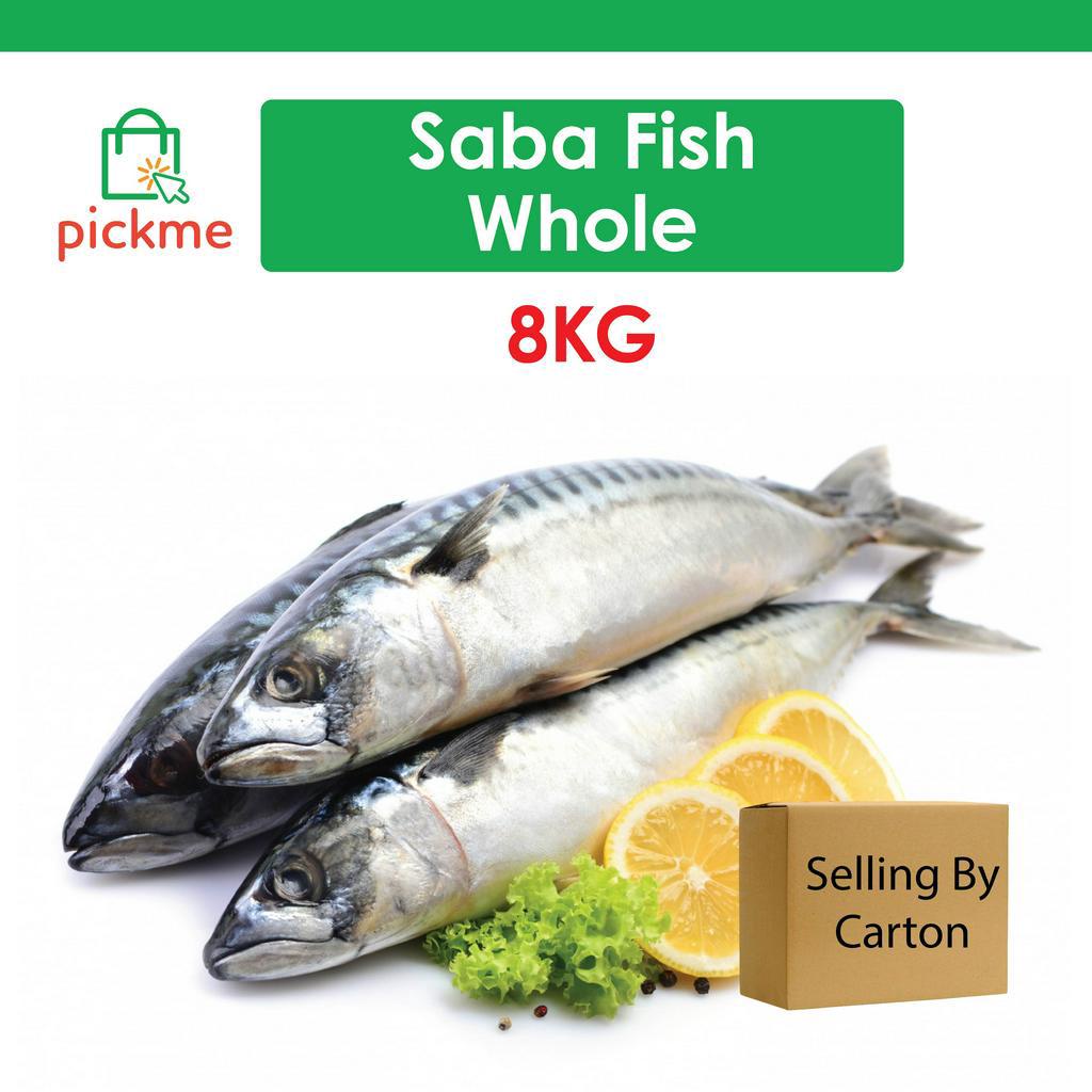 Saba Fish (Whole) 8KG Carton | Shopee Singapore