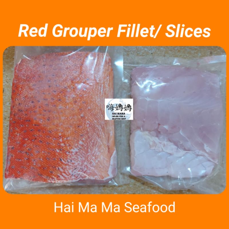 [HaiMaMa Seafood] Fresh Red Grouper Fillet/Slices (250-300)g Wild ...