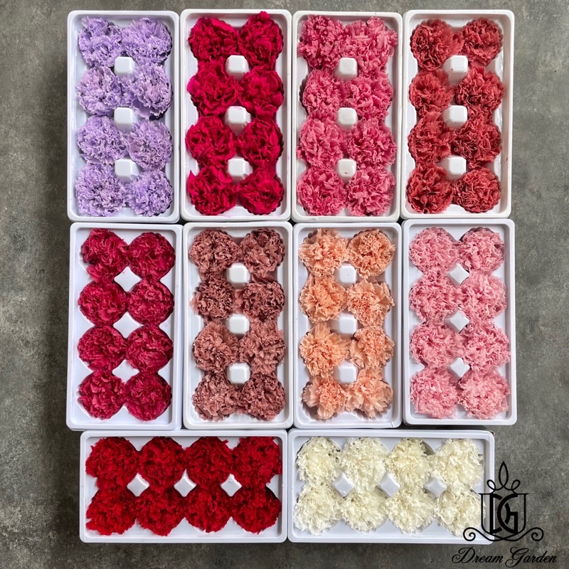 🇸🇬[SG Stock][Dream Garden]Grade A Preserved Carnation Preserved Flowers ...