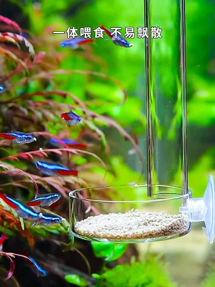 Glass Aquarium Shrimp Feeder Tube Dish Shrimp Fish Snail Food Feeding ...