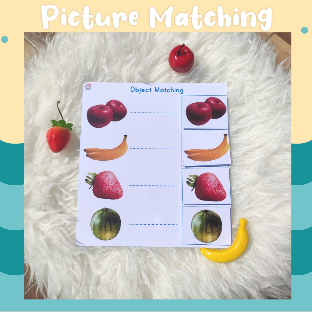 Picture Matching Learning Children Recognizing Objects/Spotlights and ...