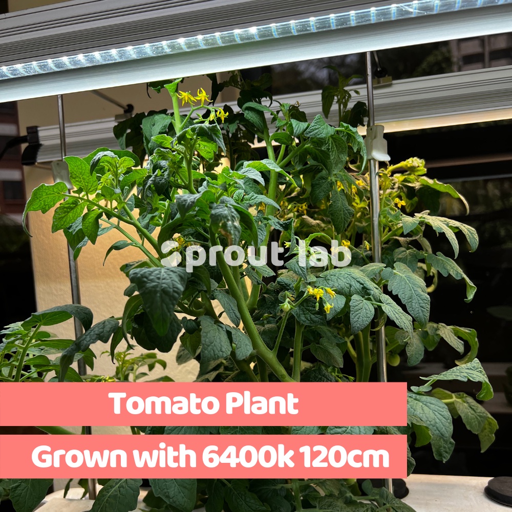 Sprout lab | T5 LED Grow Light for Plants Full Spectrum | 24 watt/48 ...