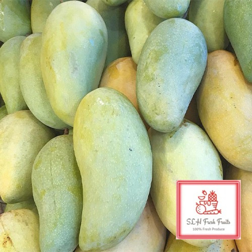 SLH Thai Golden Dragon Mango(金龙芒果)- 500-600g | Shopee Singapore