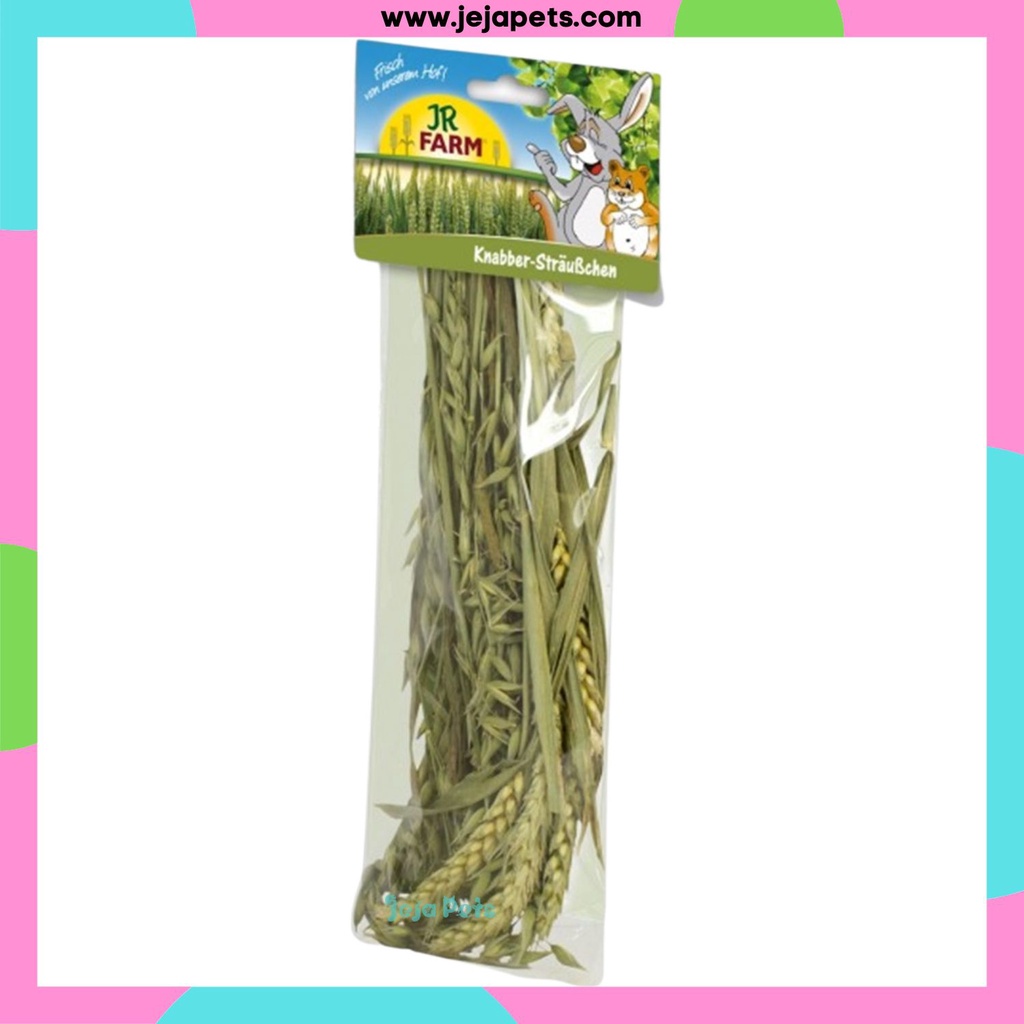 JR Farm Nibble-Posy - 25g | Shopee Singapore