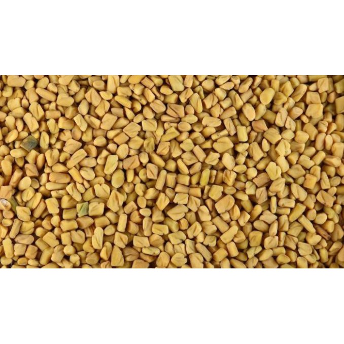 FENUGREEK SEEDS 芦巴子 BIJI HALBA INDIA 100G | Shopee Singapore
