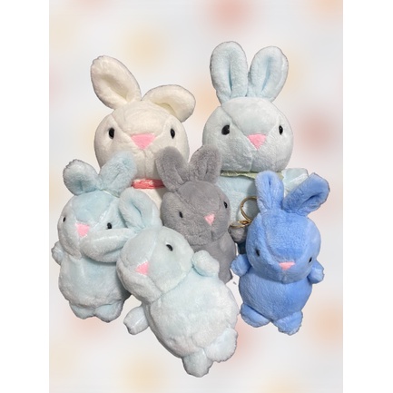 Bunny Soft toy / Bunny Soft toy Keychain / Rabbit Soft toy and Keychain ...