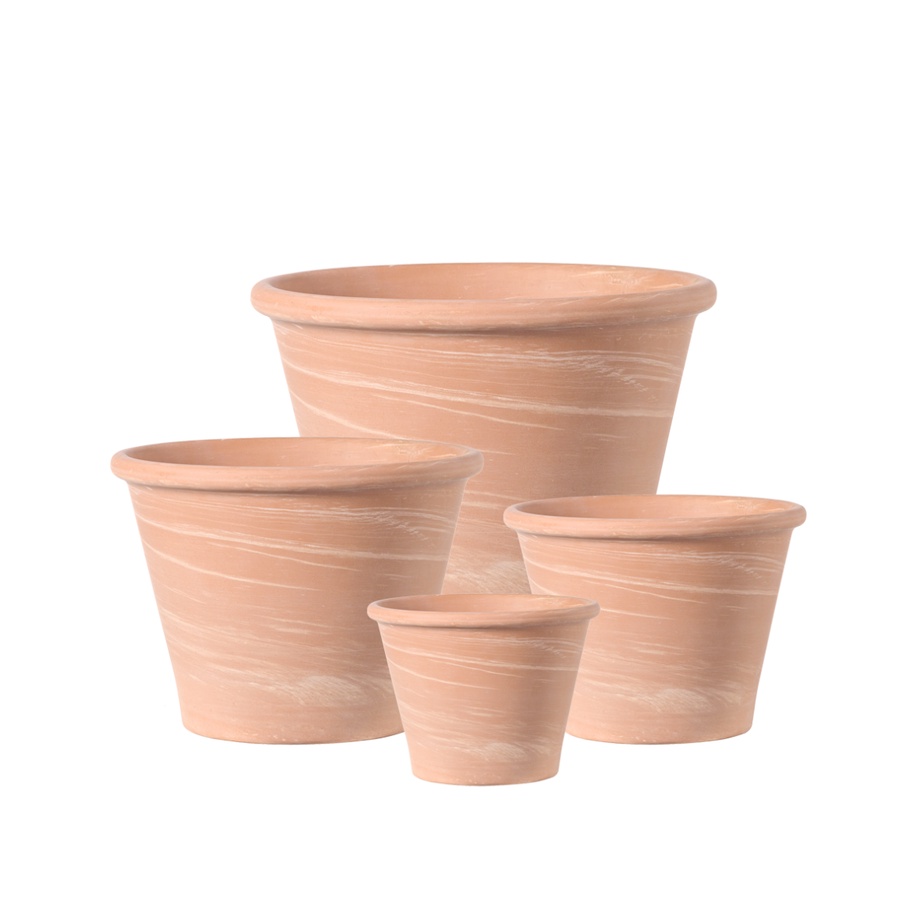 Vasum Duo Bianco White-Striped DEROMA Italy | Shopee Singapore