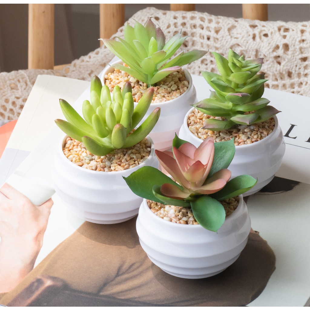 Goodsdeco Artificial Succulent Plants in Pots, Fake Plants for Indoors ...