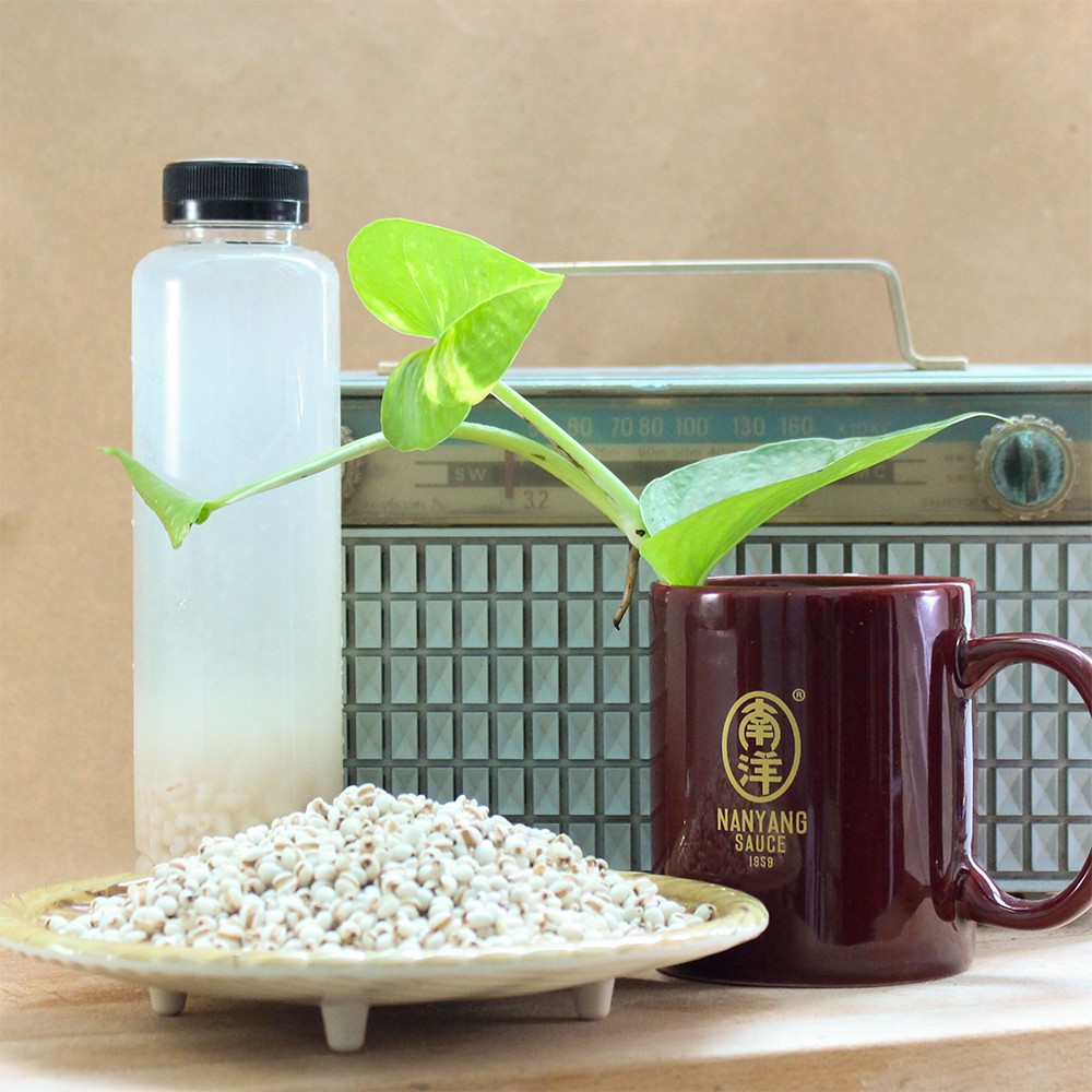 Nanyang Drink Homemade Barley Herbal Drink | Shopee Singapore