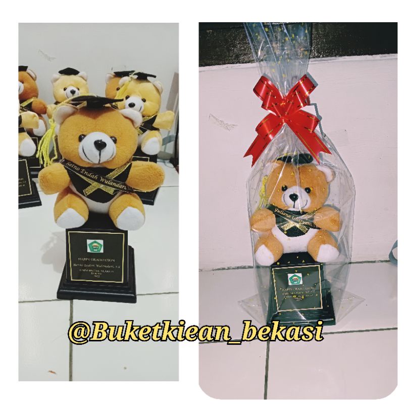 Graduation Trophy/Graduation Doll/Graduation Trophy/Graduation Gift ...