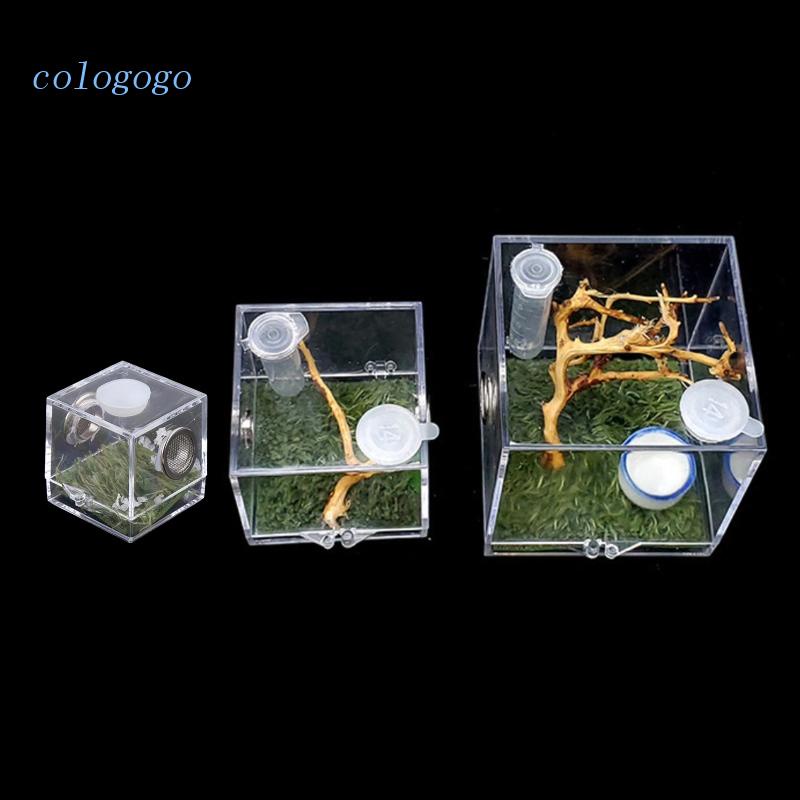 COLO Jumping Spider Habitat Acrylic Breeding Box Cage for Spiders Small ...