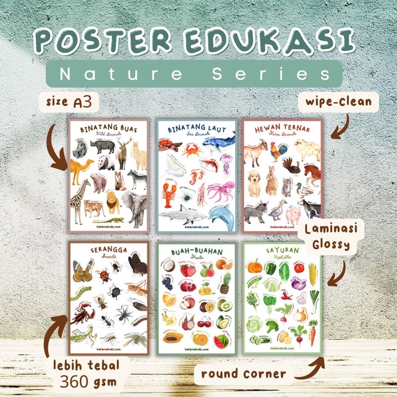 Bundling Educational Poster A3 Wild Animals, Sea, Livestock, Insects ...